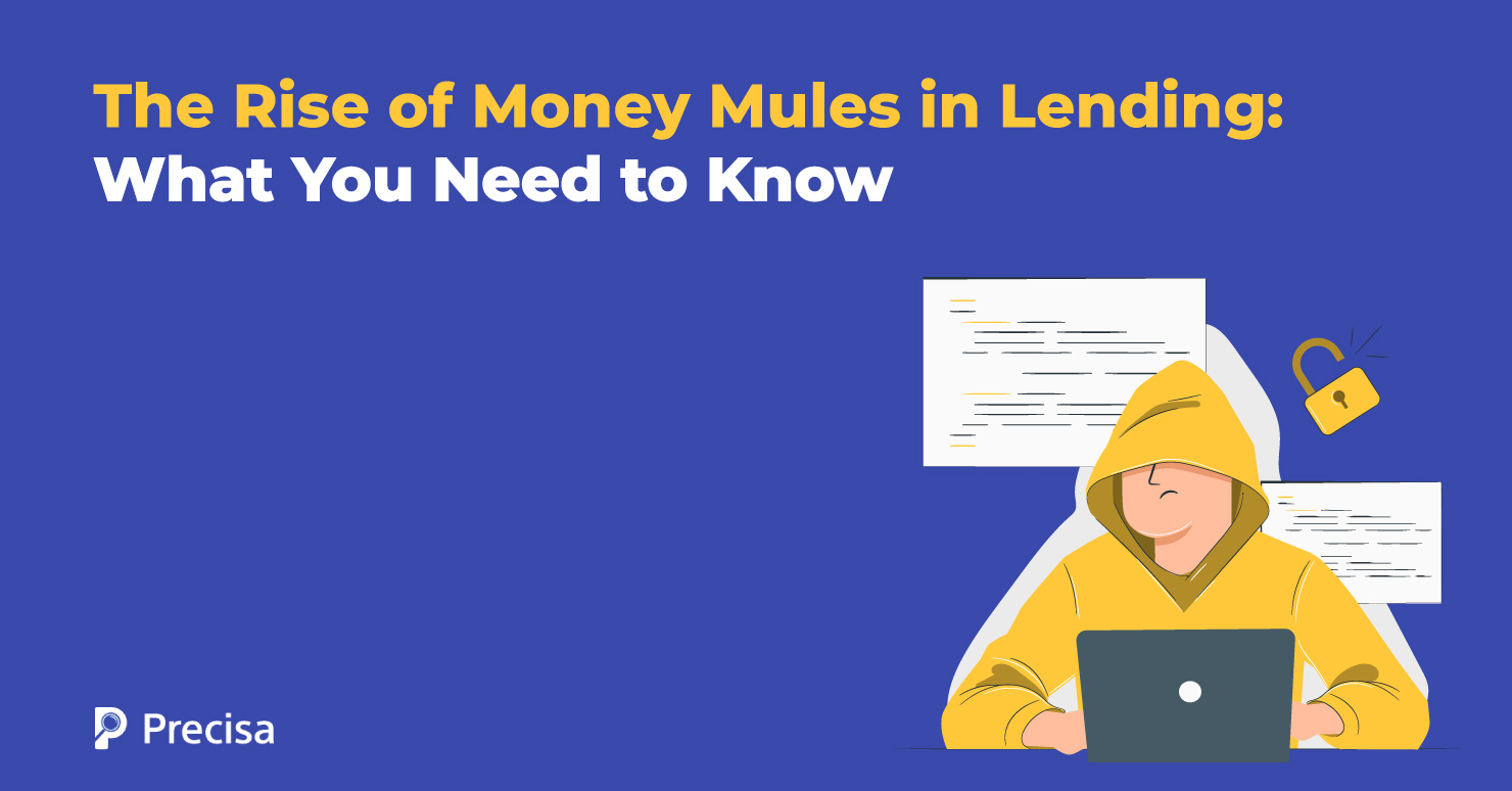 What You Should Know About Money Mules in Lending